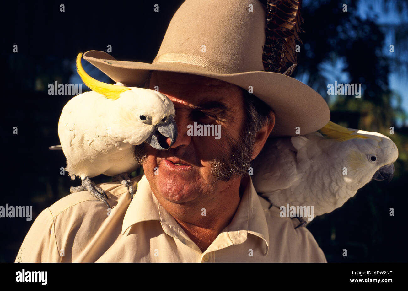 Man and pet cockatoos Australia Stock Photo - Alamy