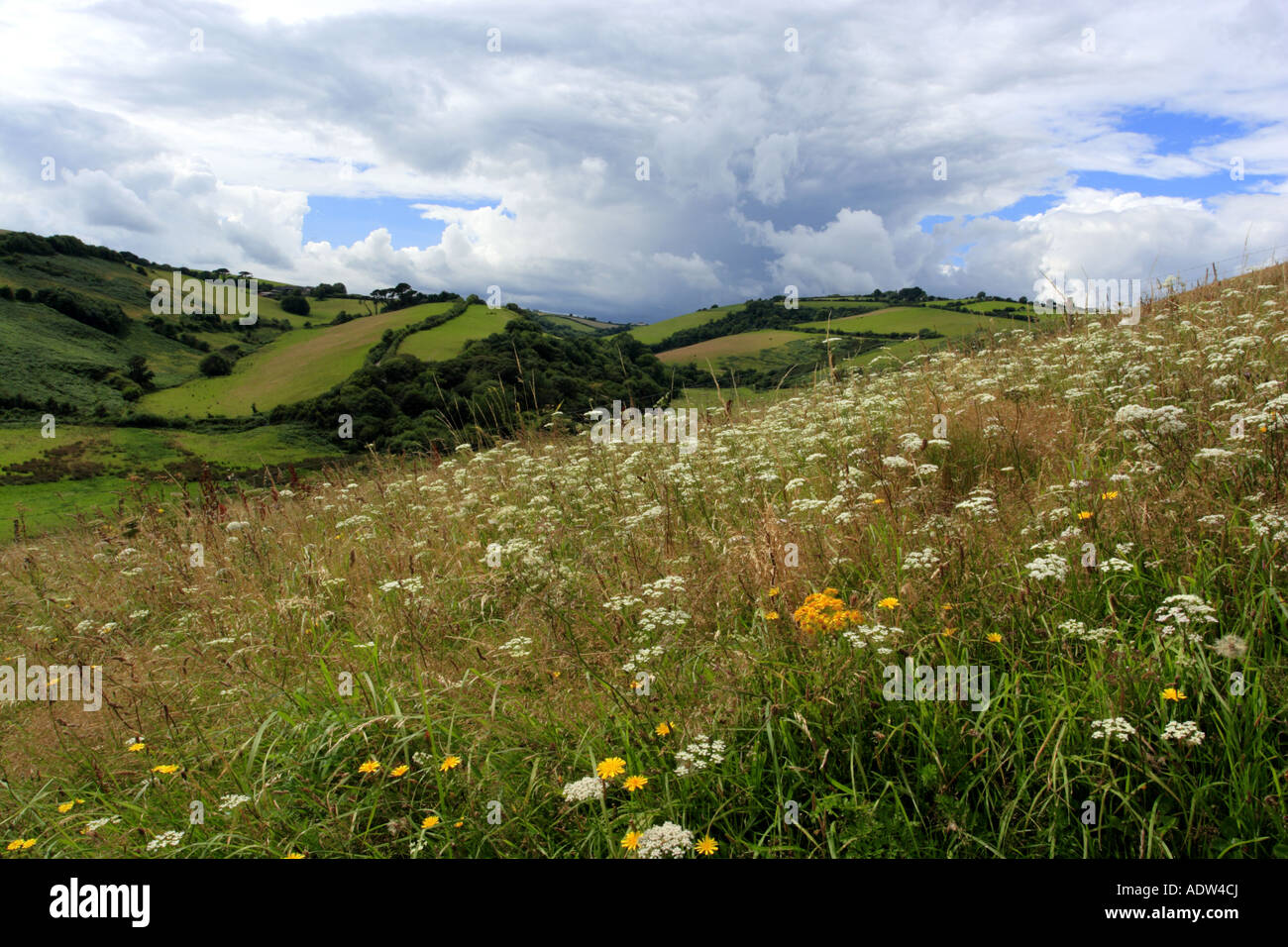 iNLAND VIEW FROM SOUTH WEST COAST FOOTPATH Stock Photo - Alamy
