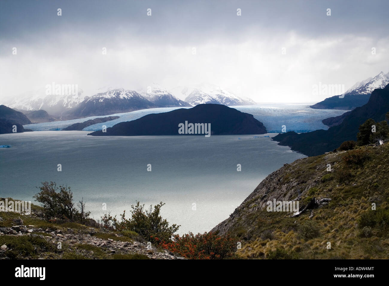 Lago (Lake) grey and the grey glaciar in the torres del paine national ...