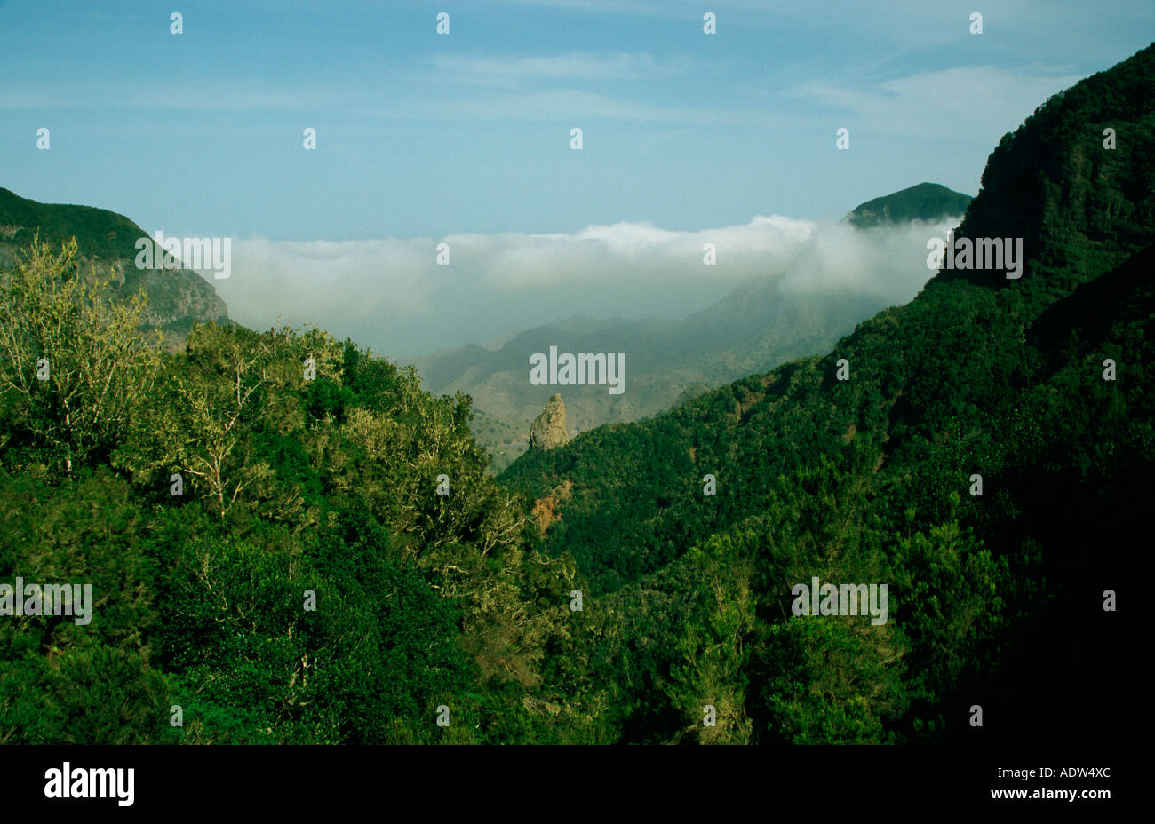 Garajonay nacional park hi-res stock photography and images - Alamy