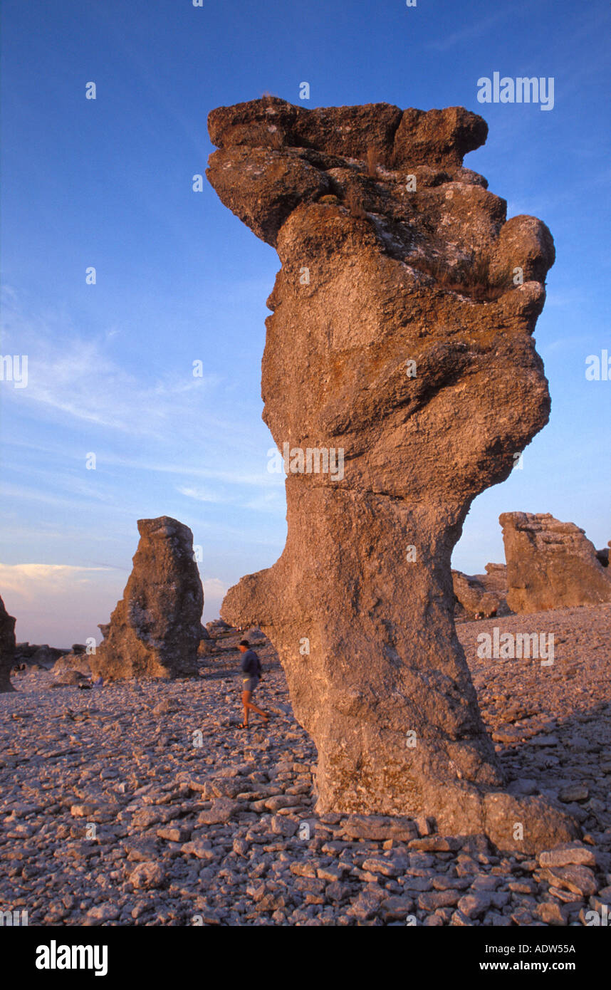 Raukar, Gotland, Sweden Stock Photo - Alamy