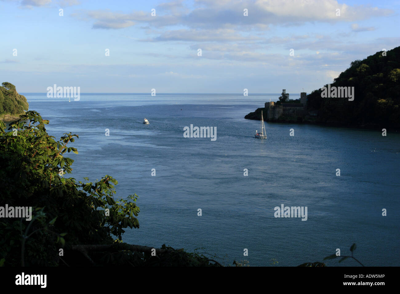 Dart estuary view hi-res stock photography and images - Alamy