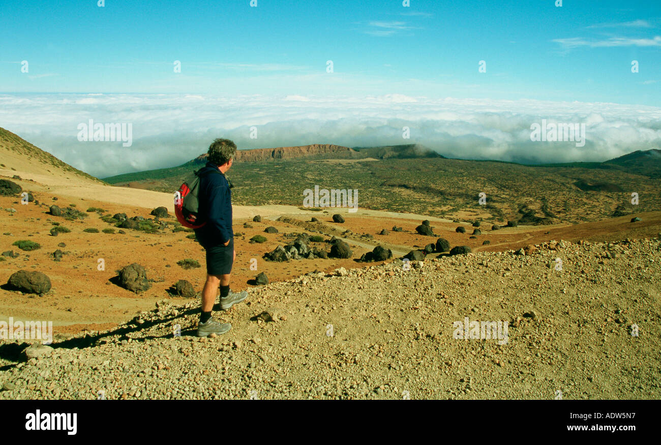 Nick haslam looking at the Las Canadas Caldera and lava flows on the ...