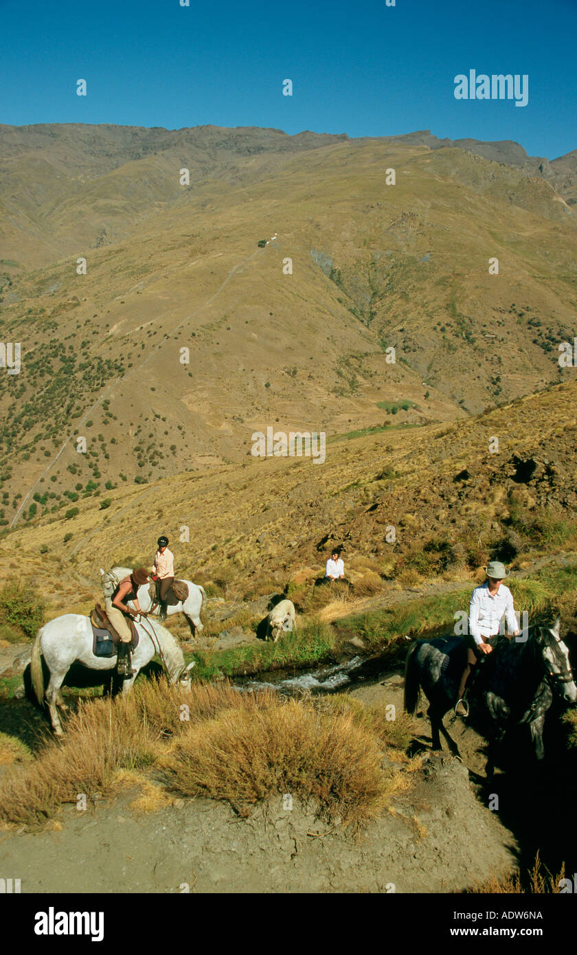 Riders on Andalusian and Andalusian / Arab crosses in the Alpujarra ...