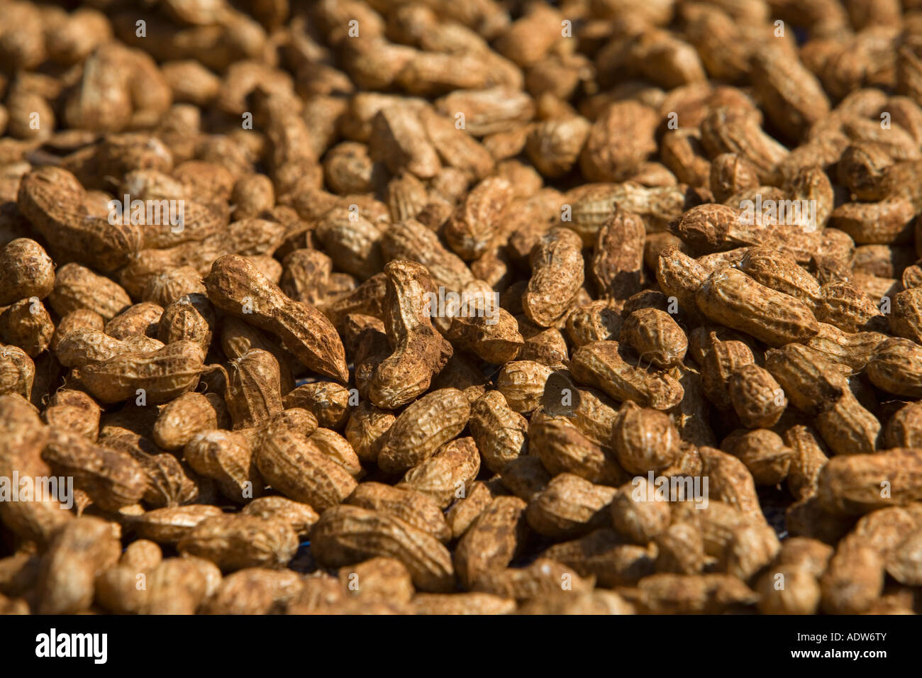 Peanuts foods hi-res stock photography and images - Alamy