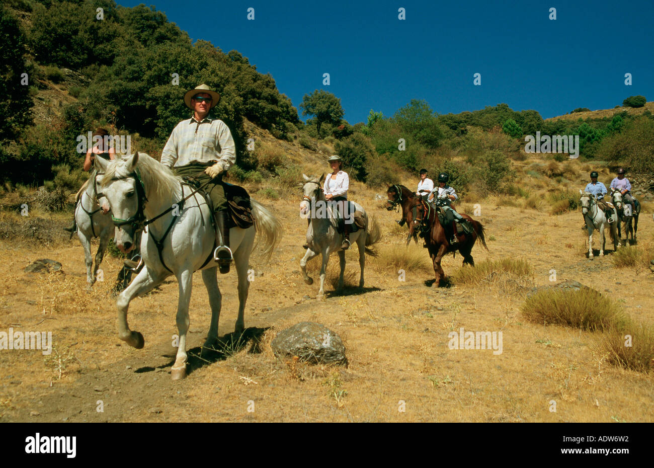 Riders on Andalusian and Andalusian / Arab crosses in the Alpujarra ...