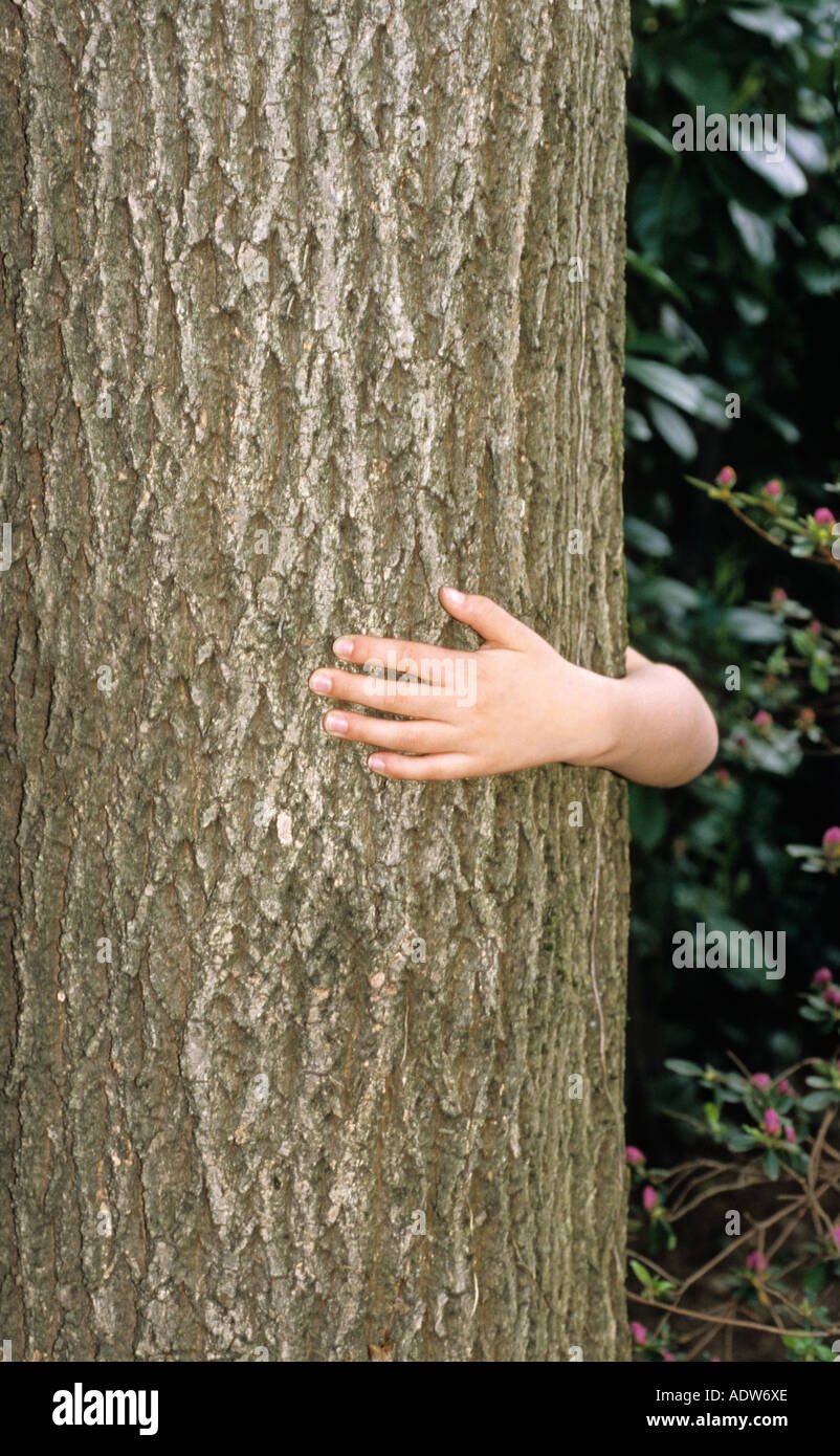 Arms hand timber hide hiding outdoor environment hi-res stock ...