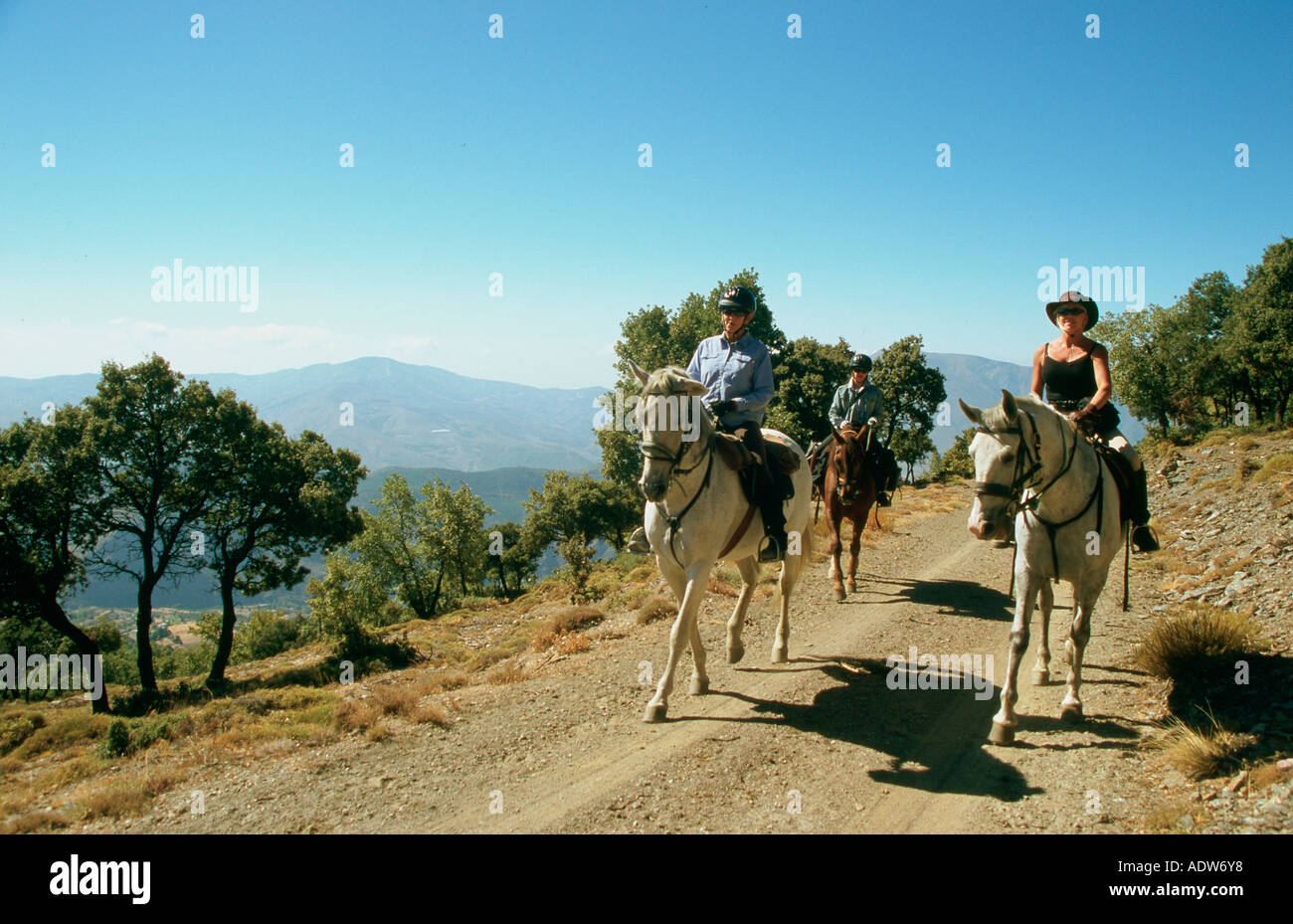Riders on Andalusian and Andalusian / Arab crosses in the Alpujarra ...