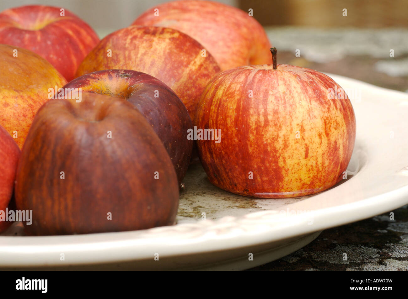 red apples on a plate made of china Stock Photo - Alamy