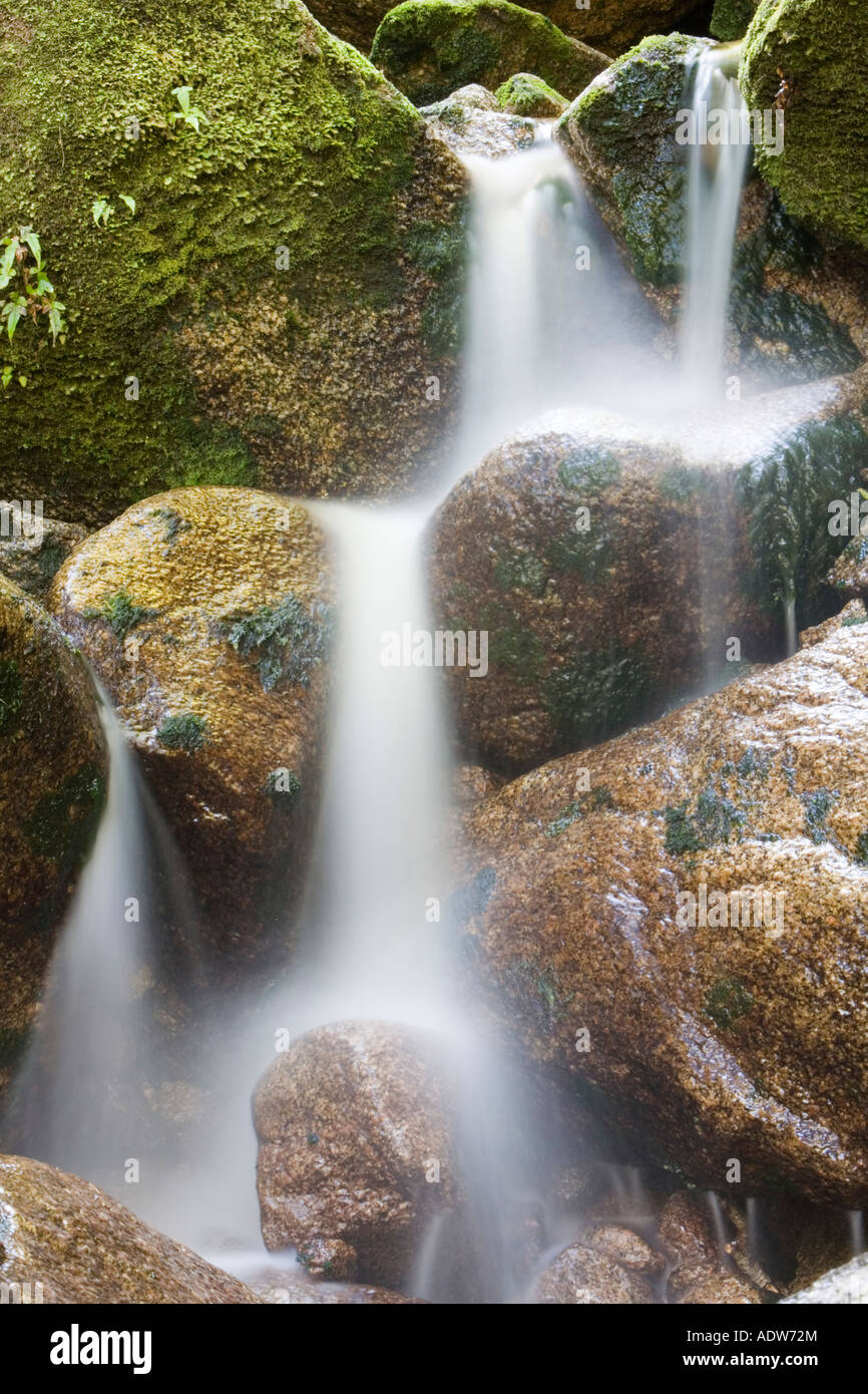 New Zealand South Island Murchison Small waterfall in stream flowing ...