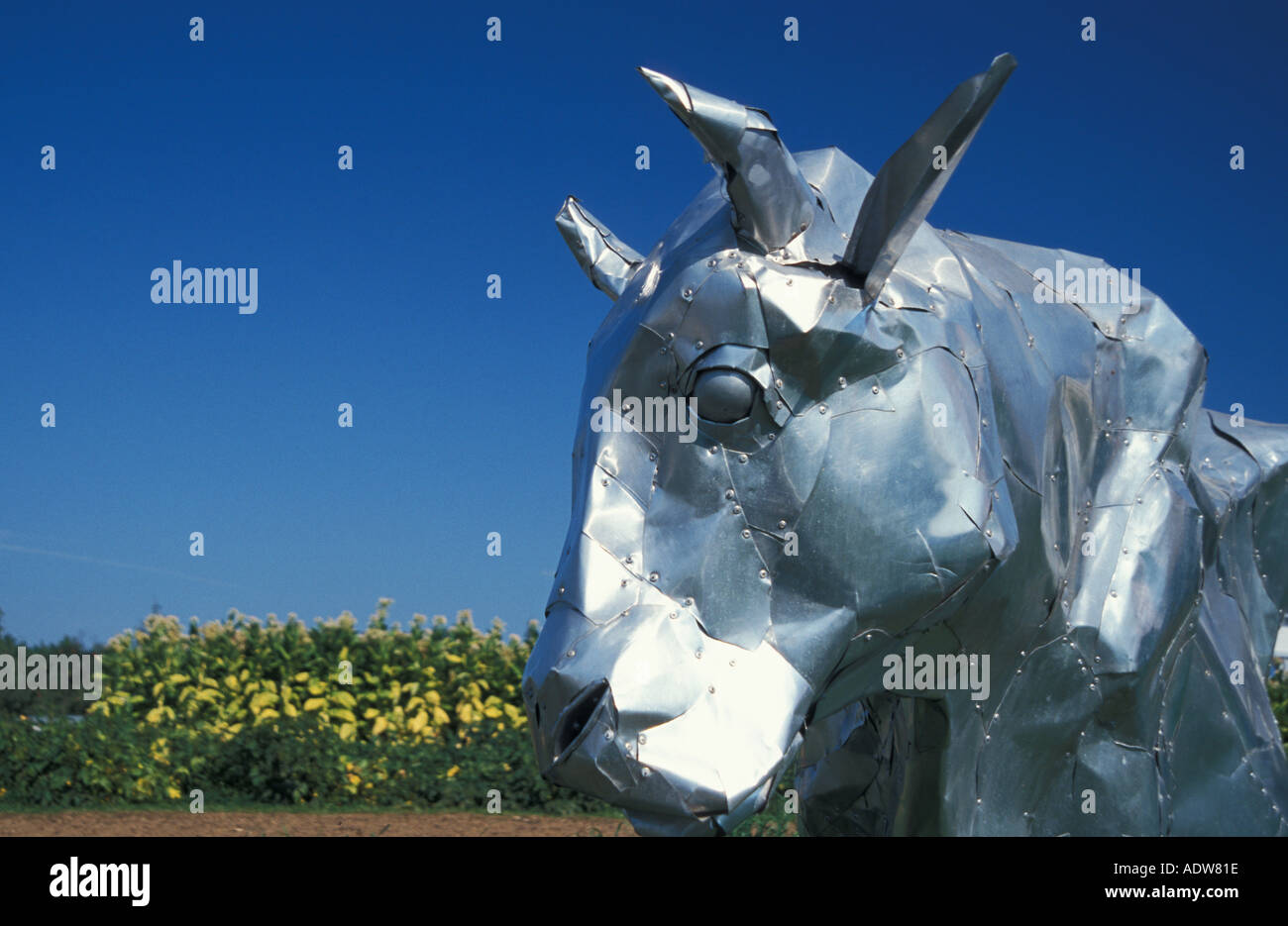 cow made of steel Stock Photo - Alamy