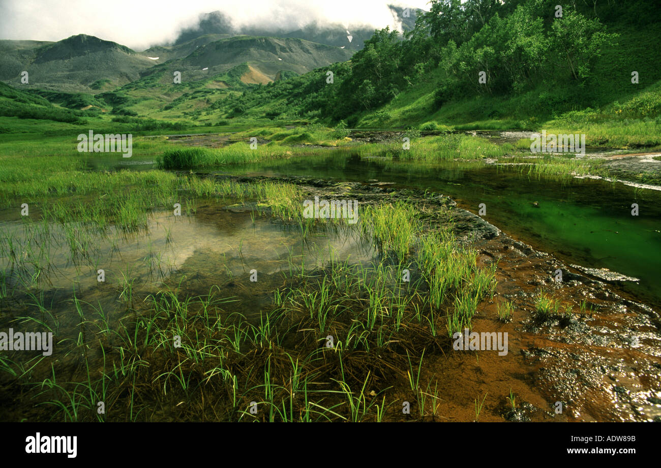 Cold mineral water springs Kamchatka Russia Stock Photo - Alamy