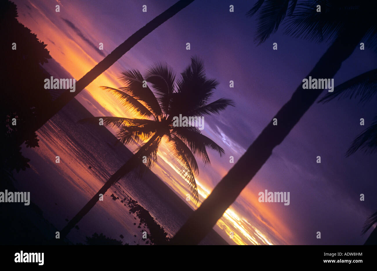 Tangkaan hi-res stock photography and images - Alamy