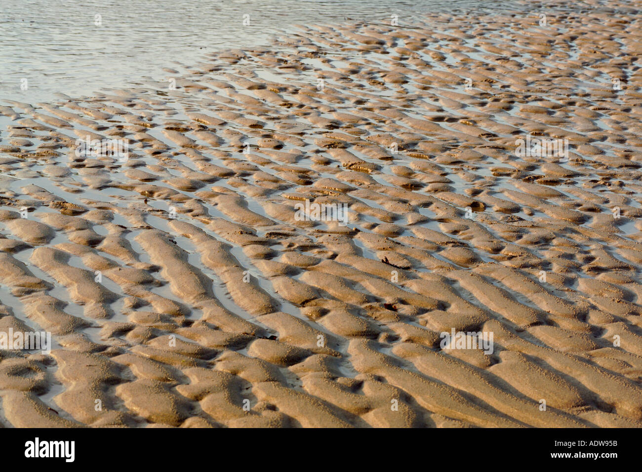 Bantham South Devon UK sandy beach rivulets caused by water in the sand ...