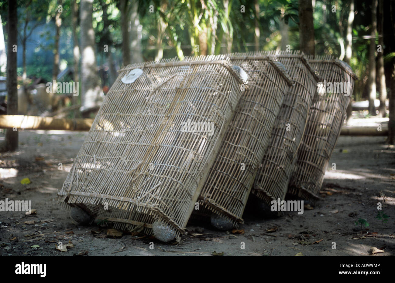 Fish traps at Apo Island Stock Photo - Alamy