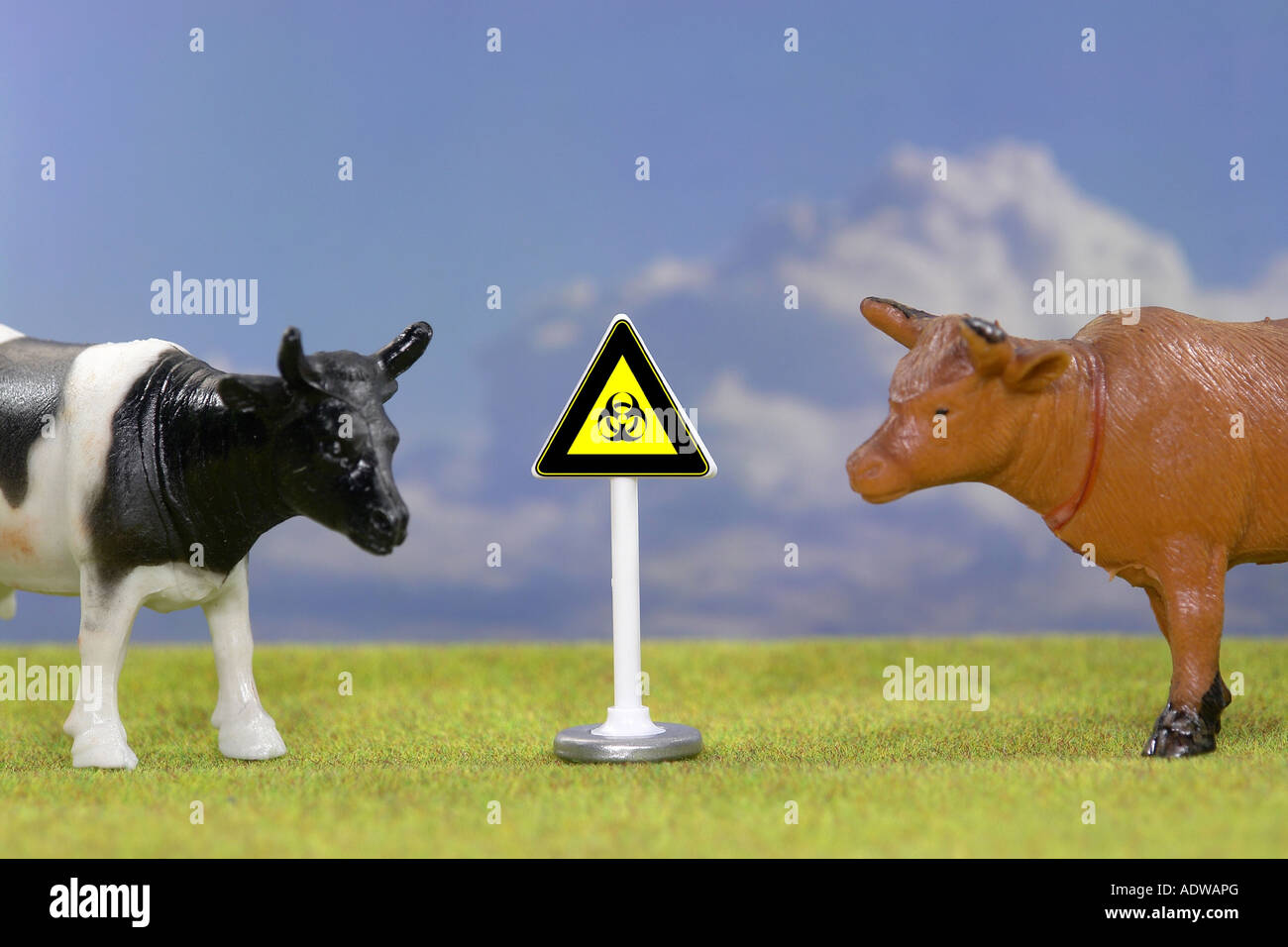 Cattle Epidemic High Resolution Stock Photography and Images - Alamy