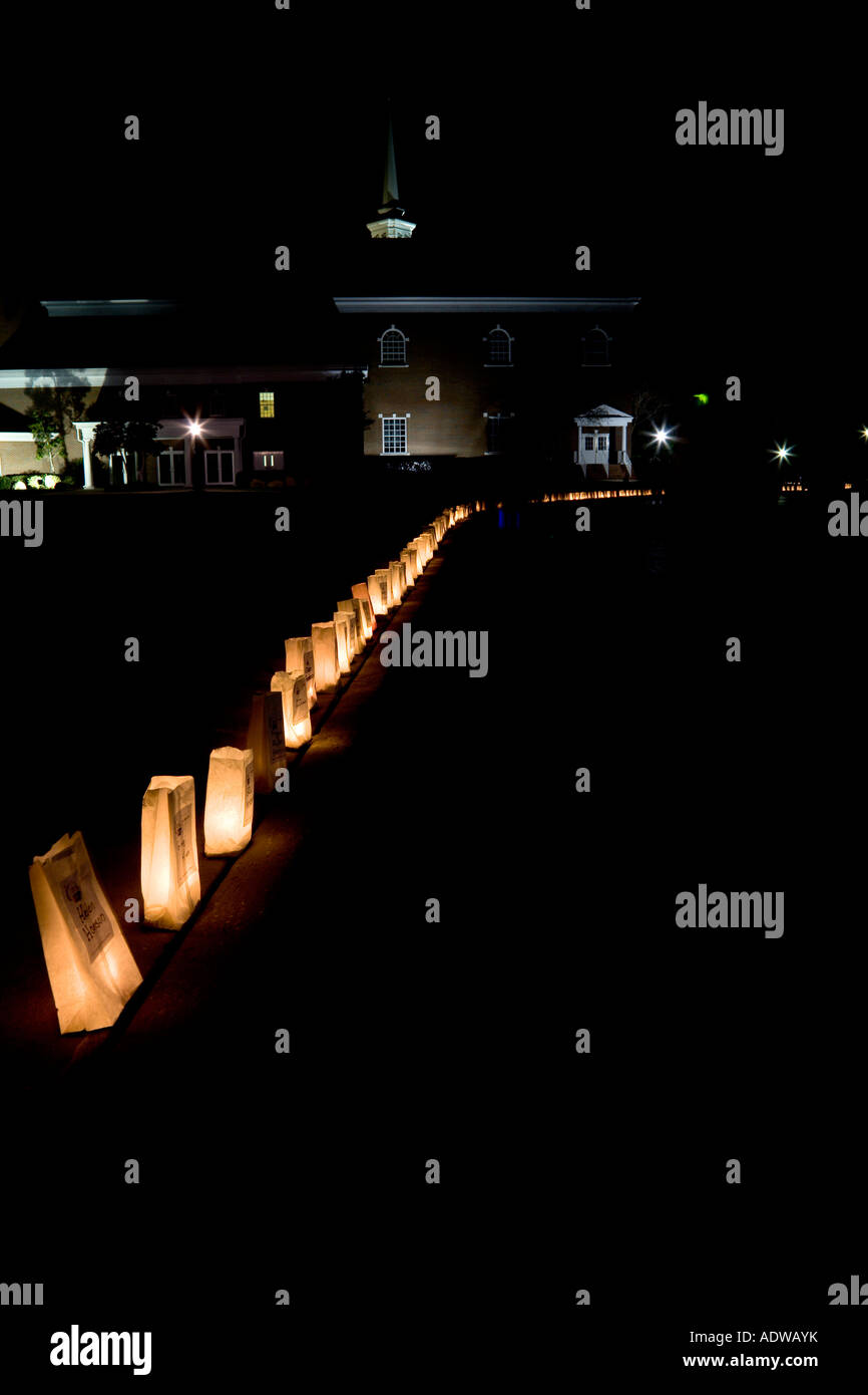 Ideas For Cancer Luminaries