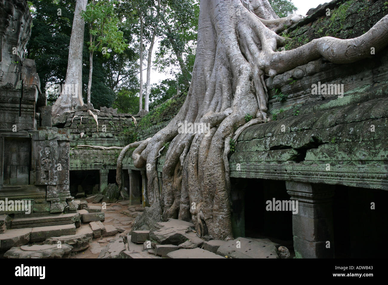 Tomb Raider Movie Temple