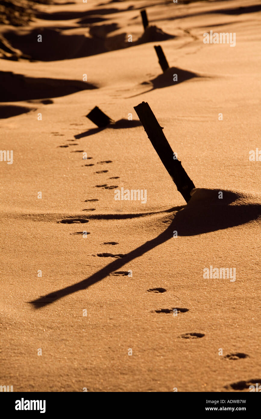 Track trail tracks trails path paths route routes hi-res stock ...