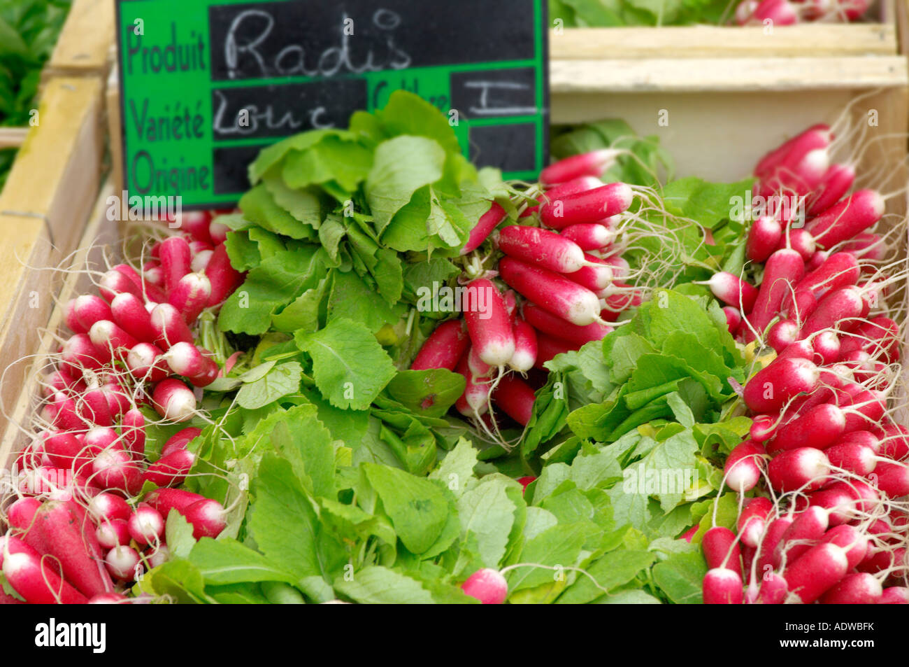 Box of Raddish on a market stall Stock Photo - Alamy