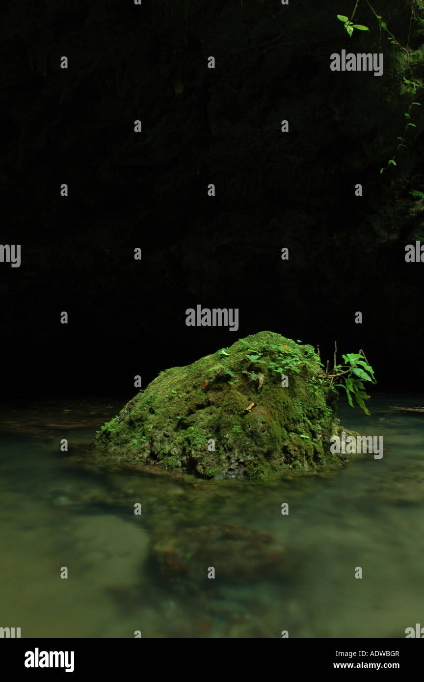 Blue Hole Cave II. Blue Hole National Park, Belize Stock Photo - Alamy