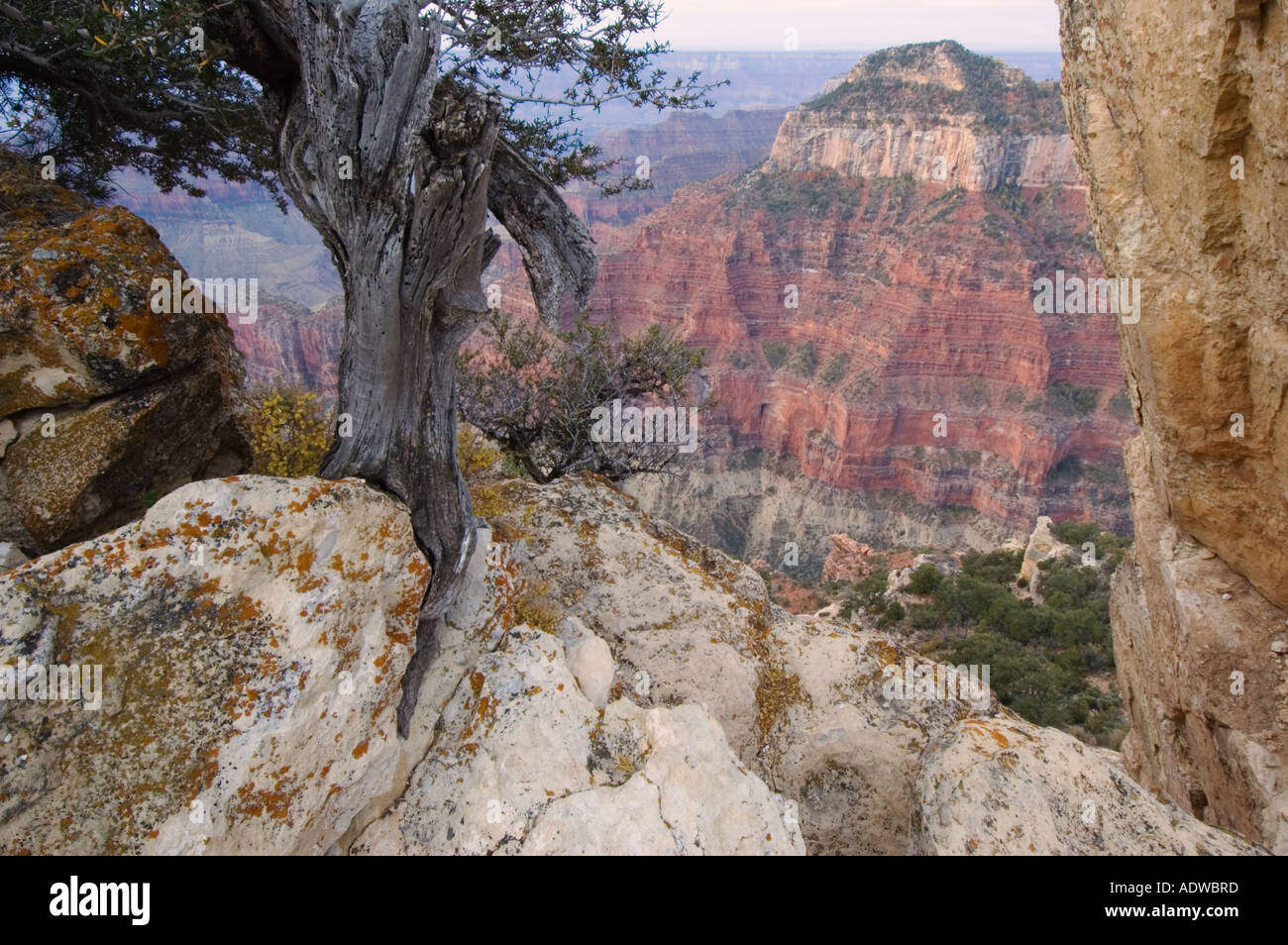 Arizona Grand Canyon National Park view from Bright Angel Point Trail ...