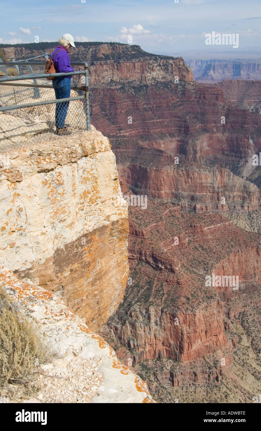 Arizona Grand Canyon National Park North Rim view from Angels Window ...