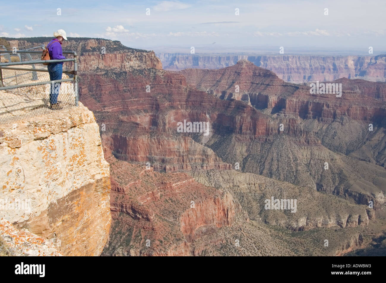 Arizona Grand Canyon National Park North Rim view from Angels Window ...