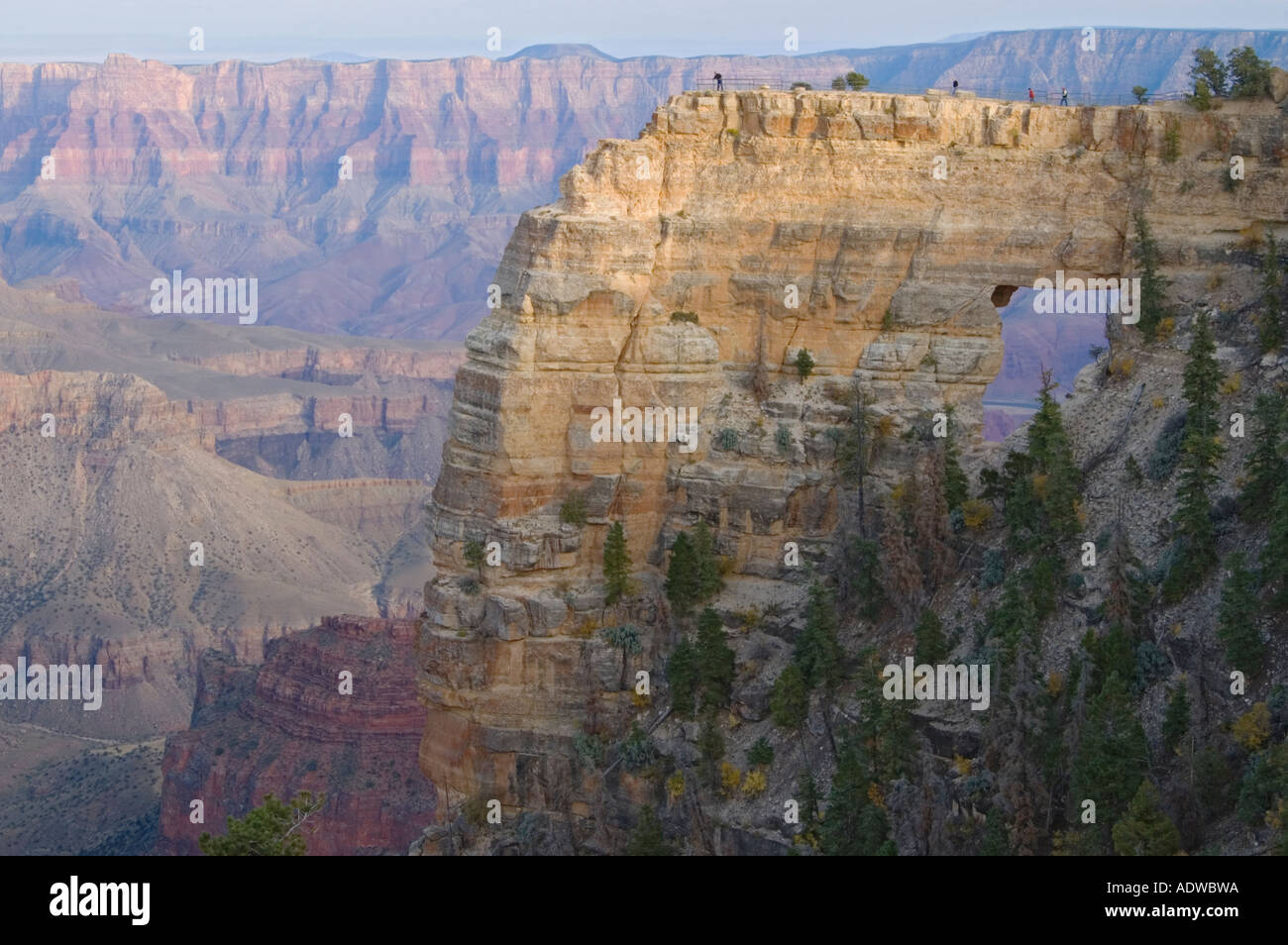 Arizona Grand Canyon National Park North Rim Angels Window viewpoint ...