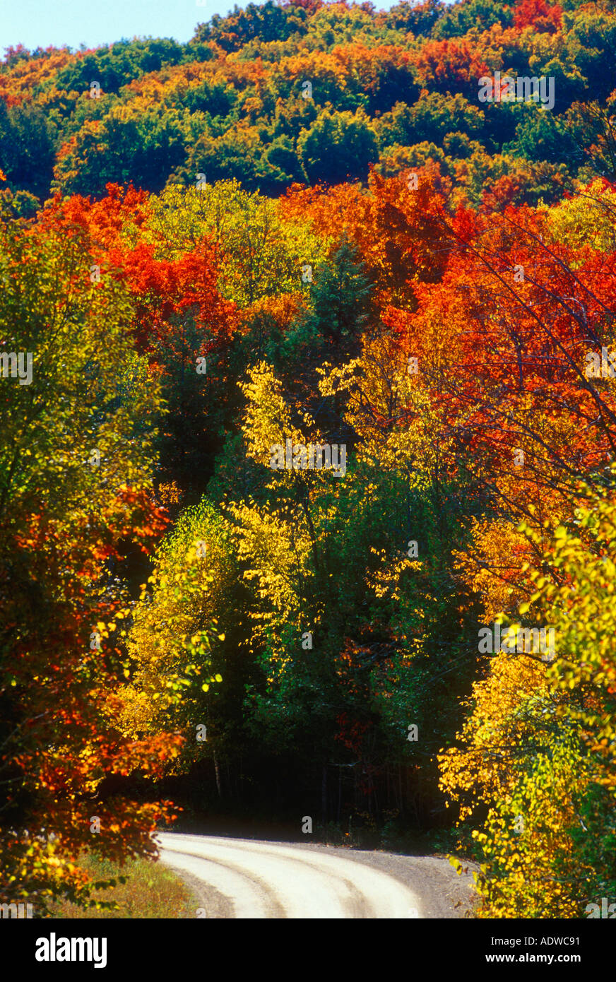 Beaver valley road hi-res stock photography and images - Alamy