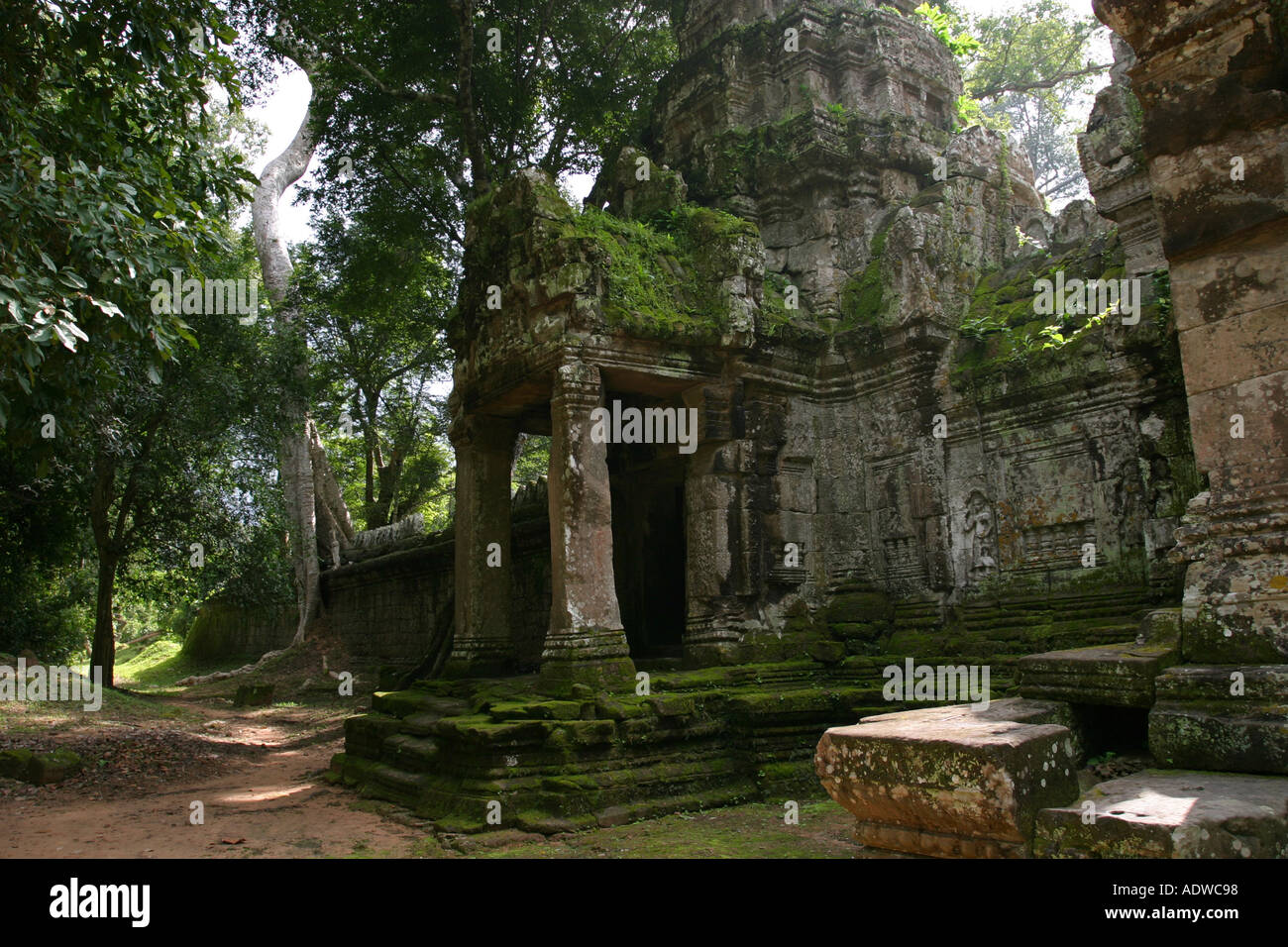 Sunlight creeps through jungle and lights an ancient stone pillared ...