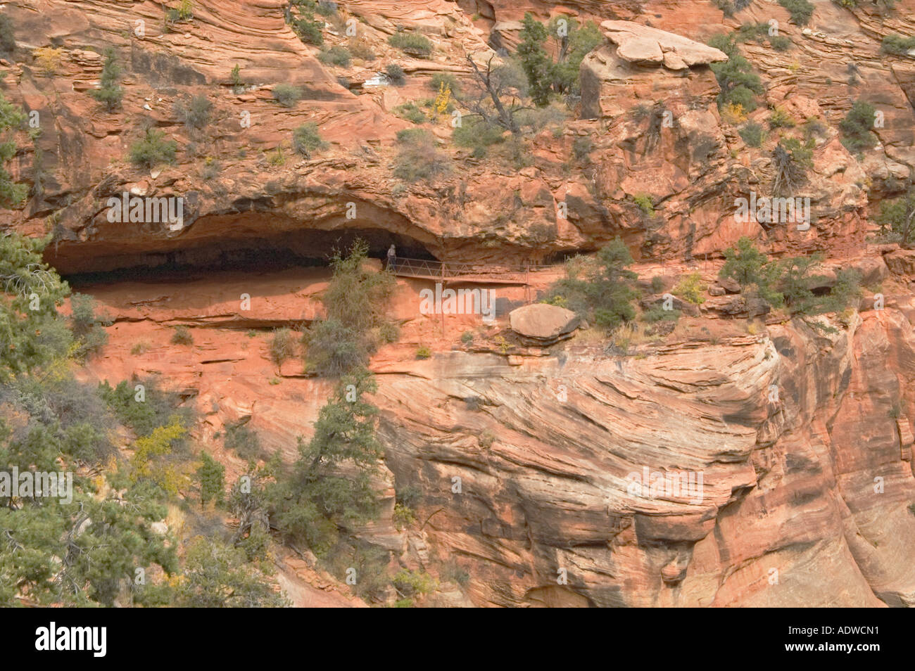 Utah Zion National Park Canyon Overlook Trail hiker in Overhang Cave MR ...
