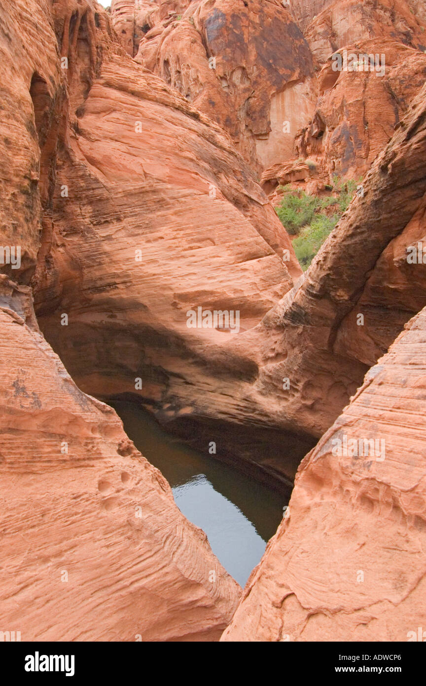 Mouse tank trail hi-res stock photography and images - Alamy