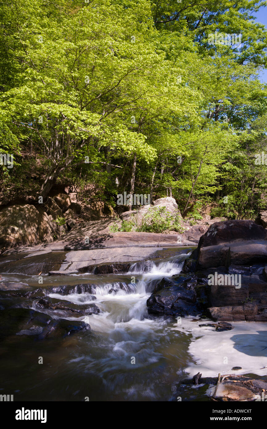 Chewacla Falls waterfall over dam at Chewacla State Park in Alabama USA ...
