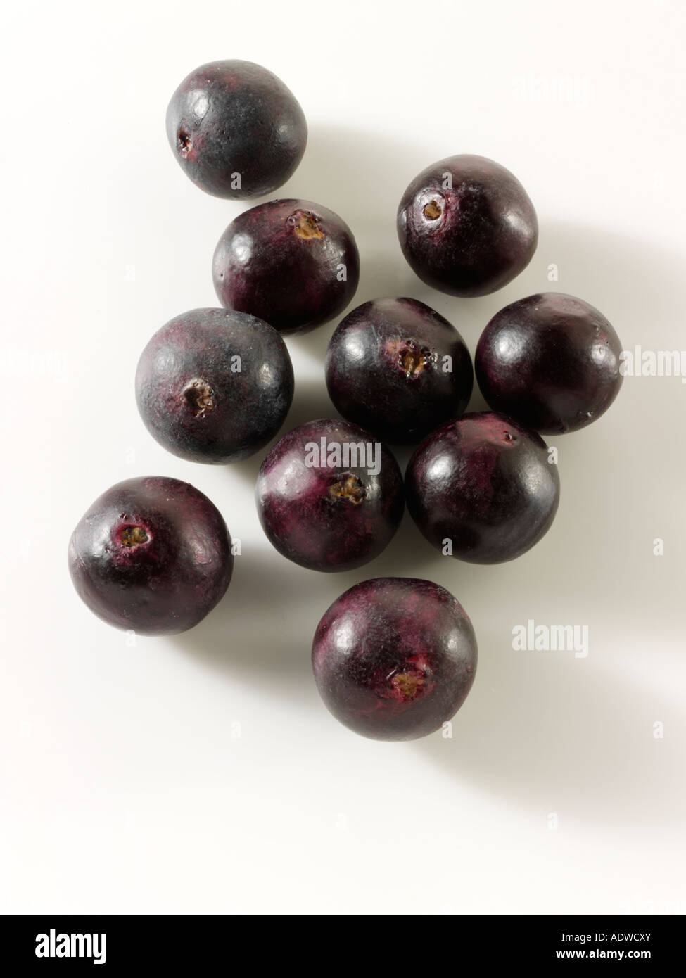 Ready cut hi-res stock photography and images - Alamy