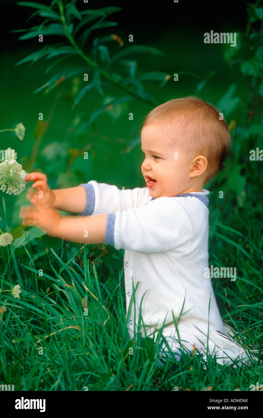 baby exploring outside Stock Photo - Alamy