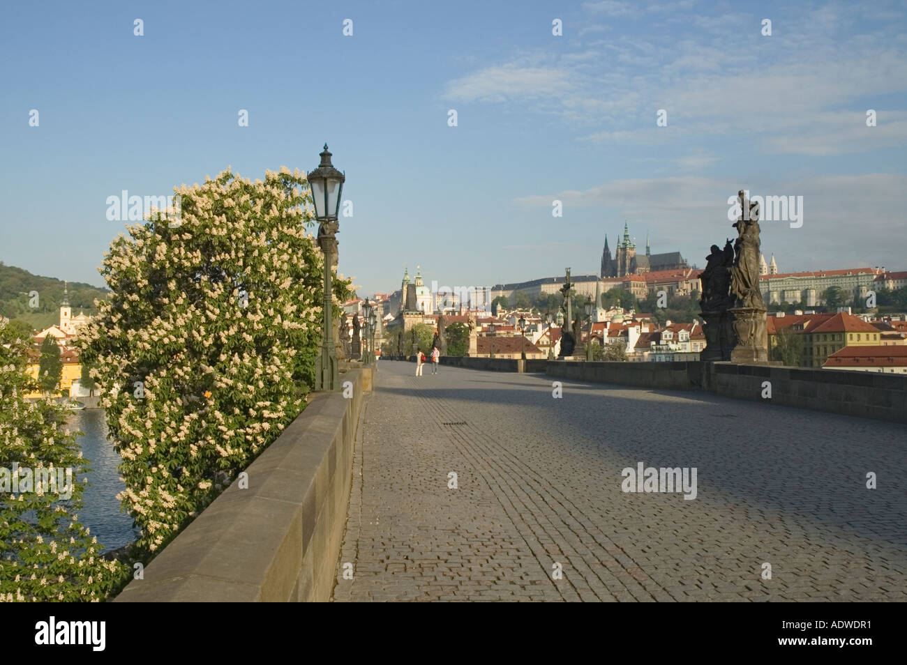 Czech Republic Prague Charles Bridge view toward Castle and Saint Vitus ...