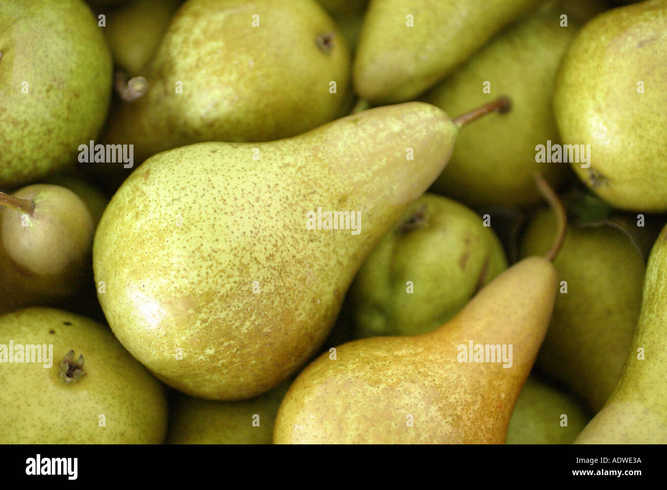 pears at a farmer s market Lancaster County PA Stock Photo - Alamy