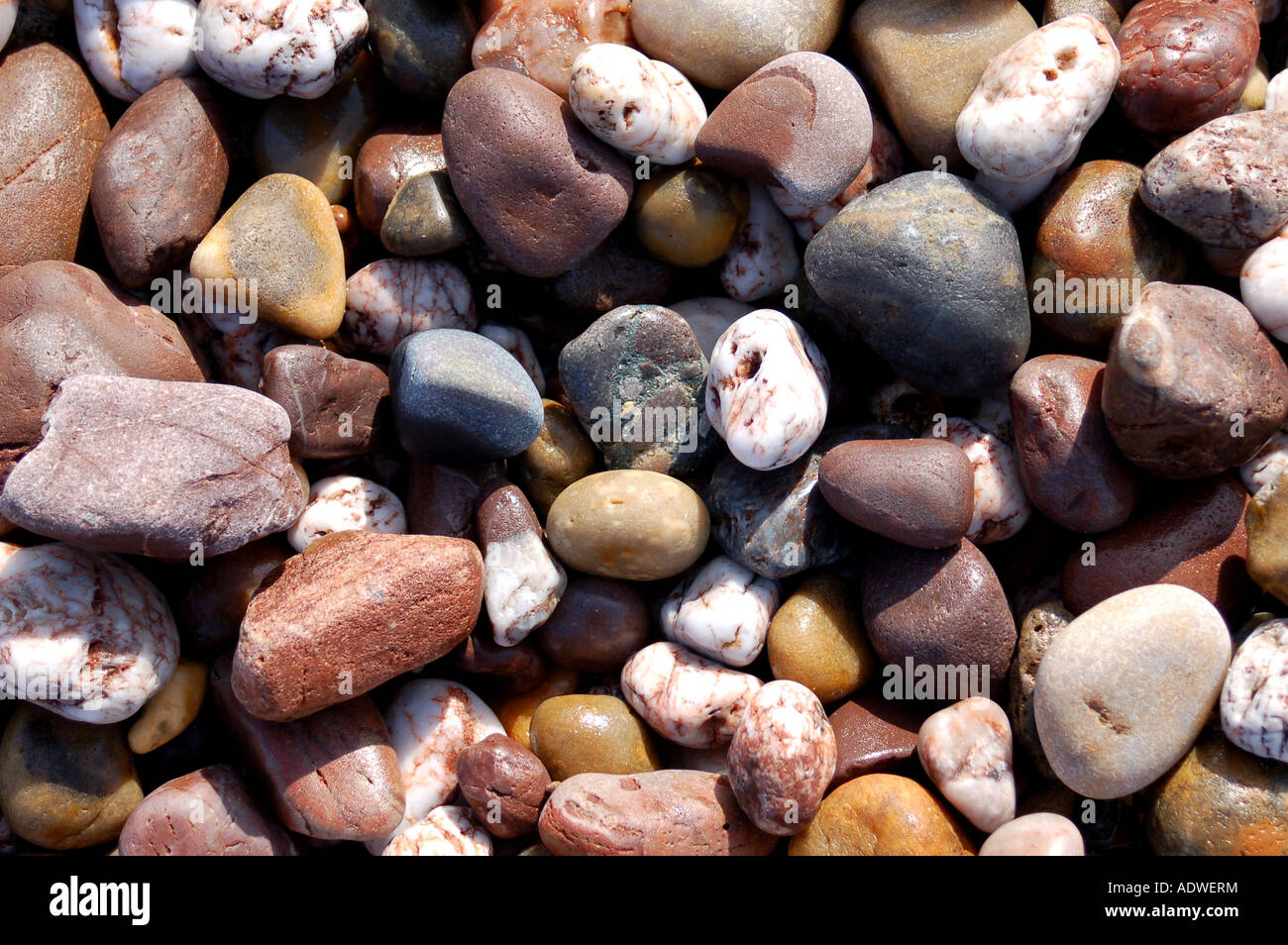 Rocks stones and pebbles on beach Stock Photo - Alamy