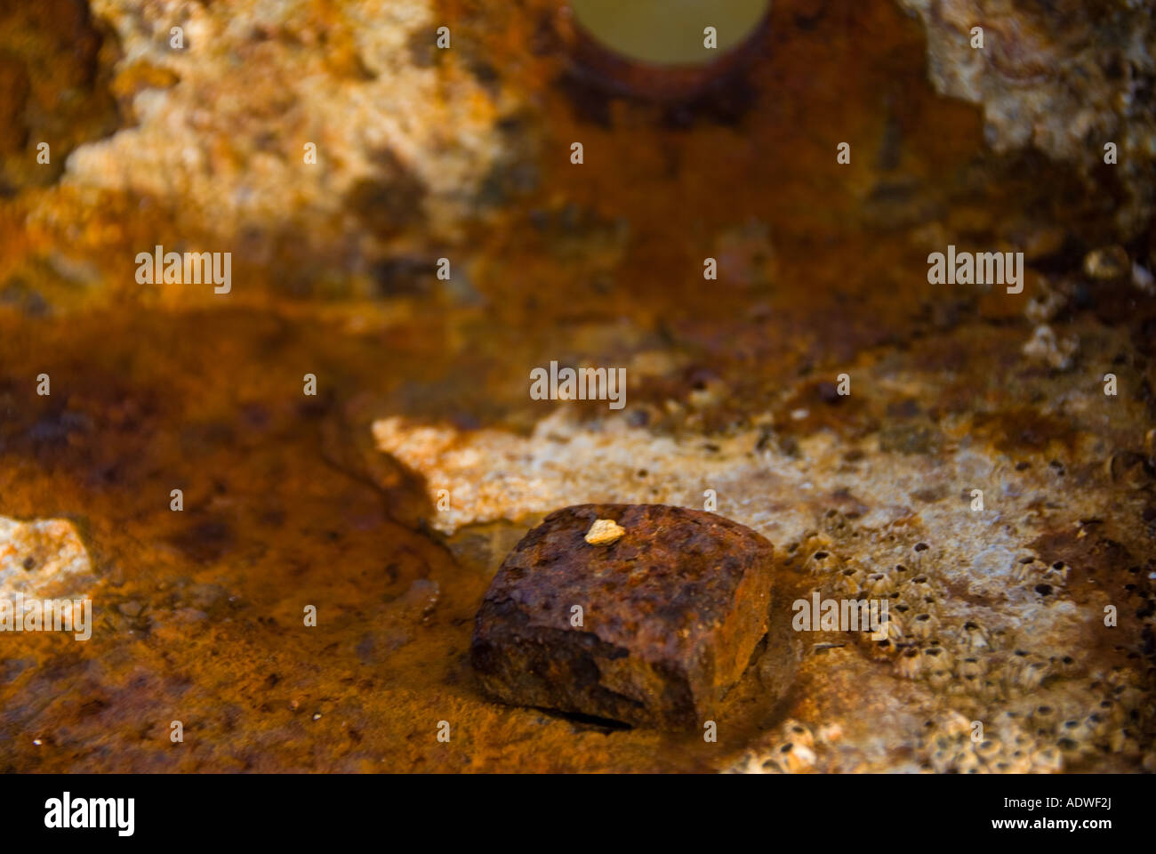 Rusting Iron Fitting With Barnacles Growing Stock Photo - Alamy