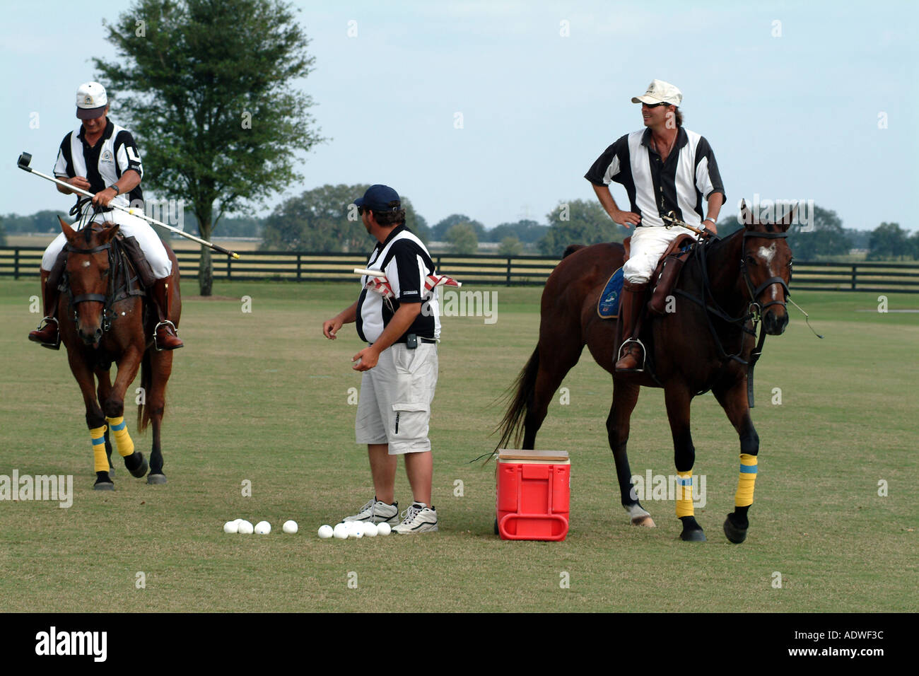 Polo umpire hi-res stock photography and images - Alamy