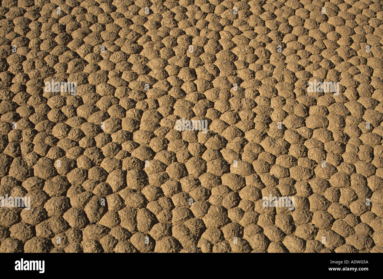 Sliding stones death valley hi-res stock photography and images - Alamy