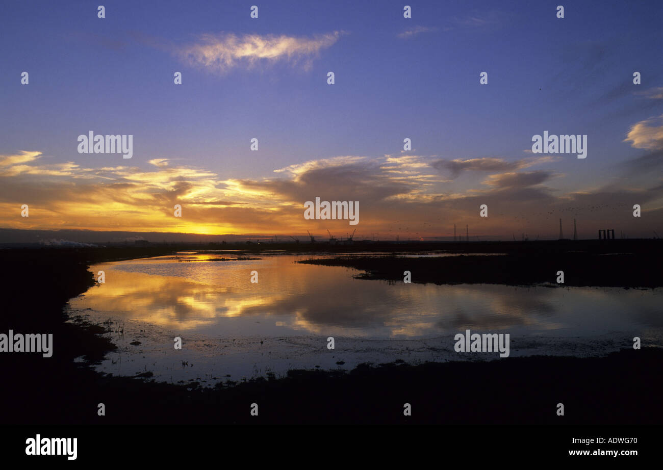 England Flood in RSPB National Nature Reserve at sunset Elmley Marshes ...