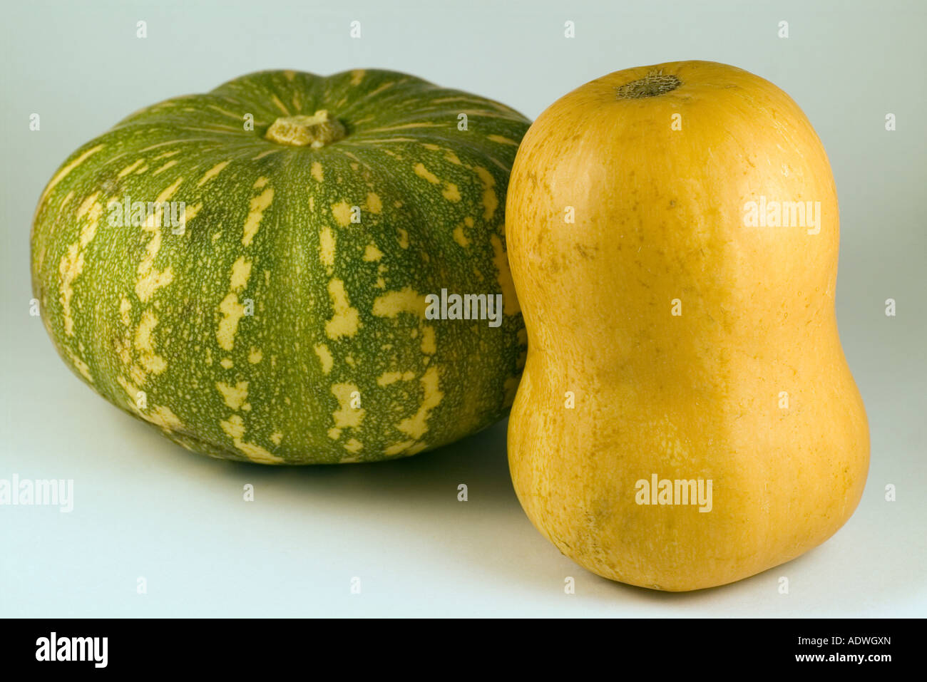 A Japanese and a Butternut Pumpkin Stock Photo - Alamy