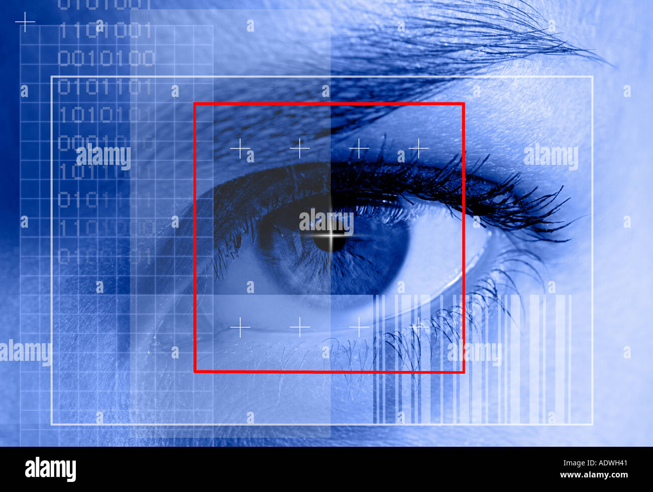 All seeing eye computer hi-res stock photography and images - Alamy