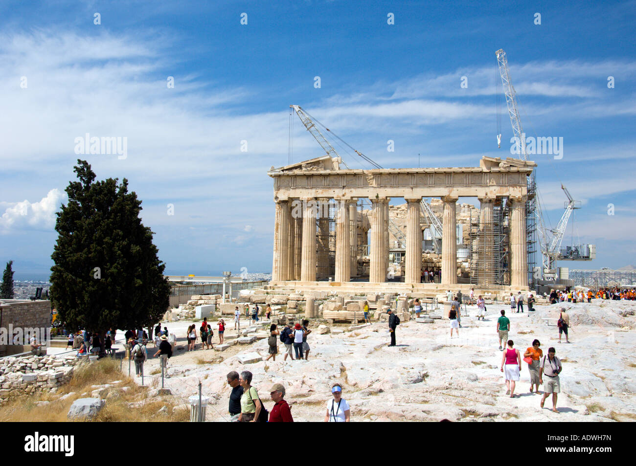 Construction cranes and restoration work at the parthenon on the ...
