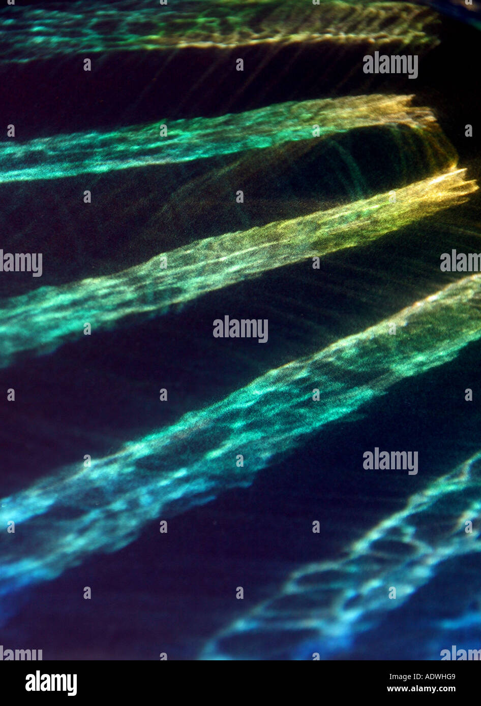 Coloured sunlight reflections through a coloured glass bowl onto black ...