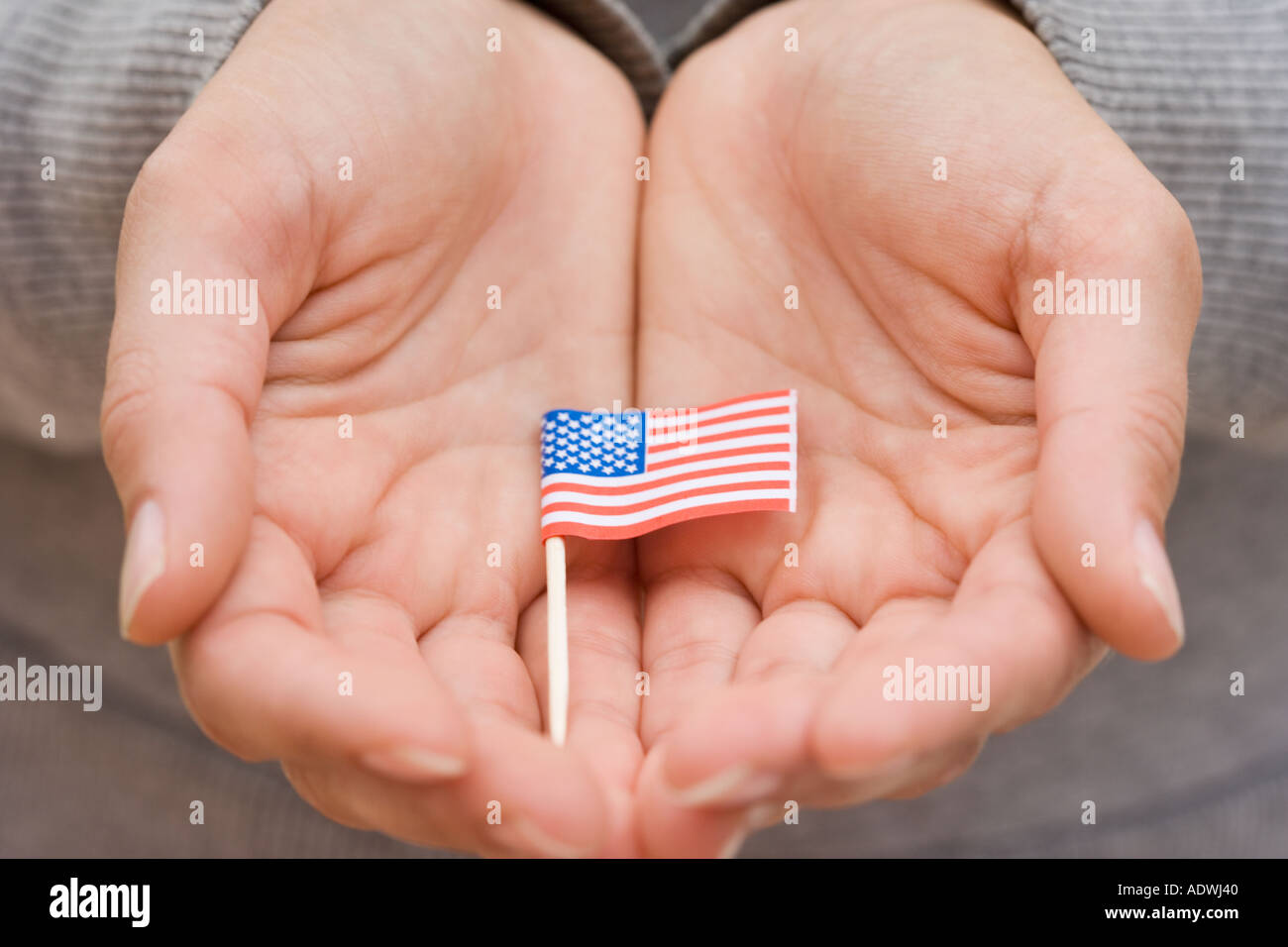 Hands holding small US flag Stock Photo - Alamy