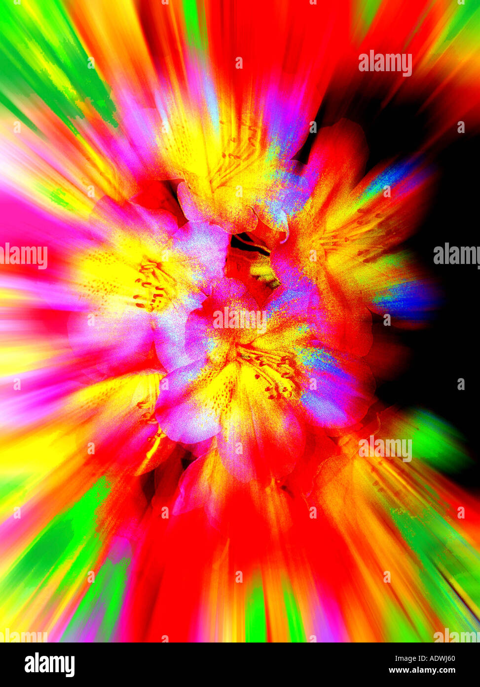 A Splash Of Colour Stock Photo - Alamy