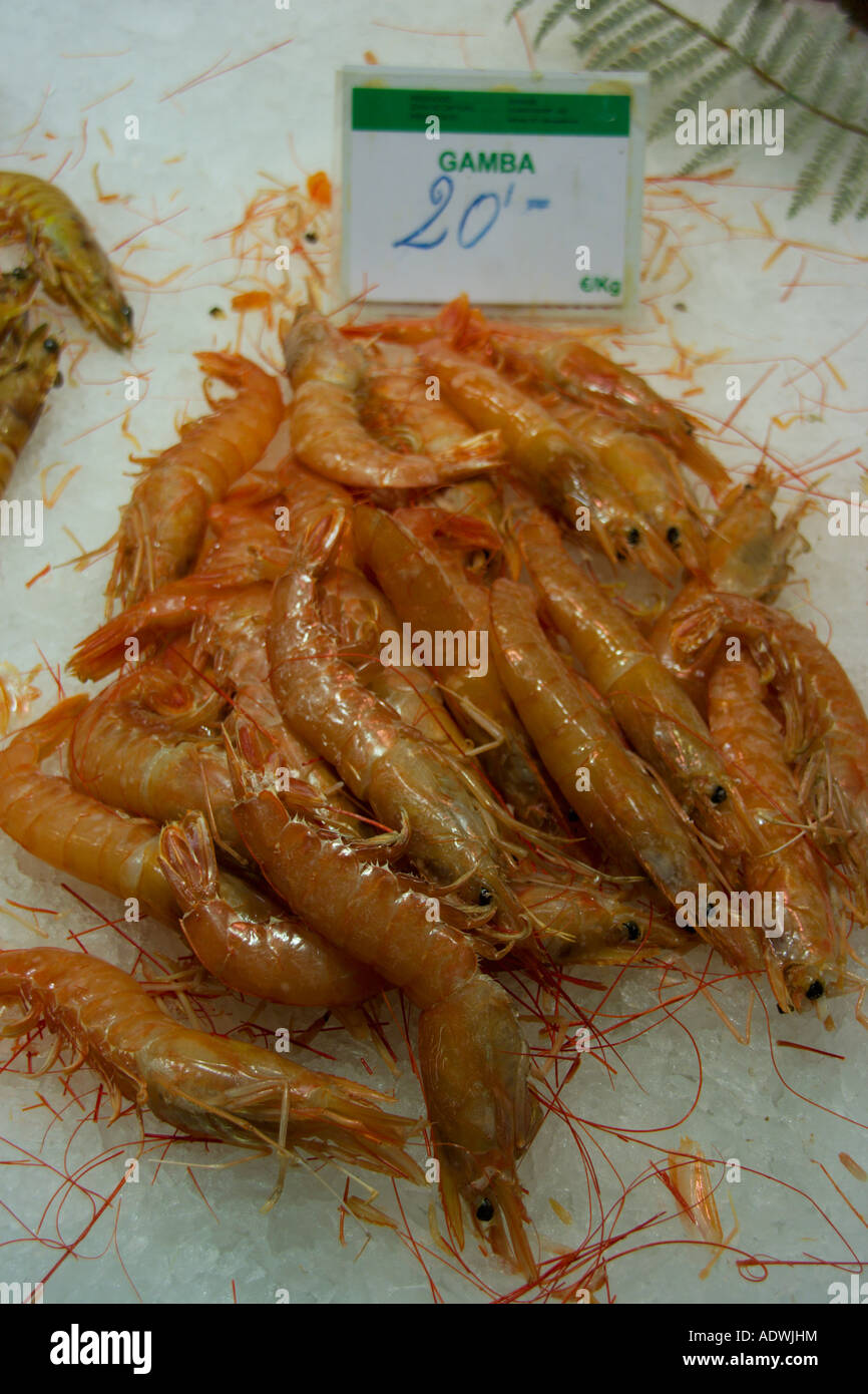 Gambas for sale displayed at a fish market in the covered market La ...
